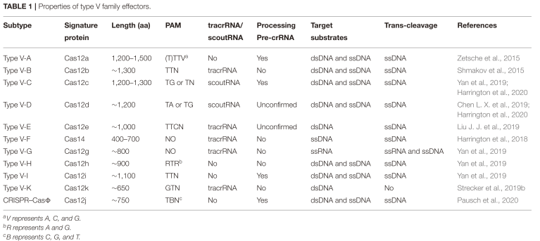 Type V CRISPR/Cas systems – Advanced Molecular Diagnostics & Devices ...